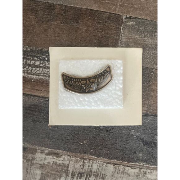 Harley-Davidson | Toys | 2 Year Hog Pin | Poshmark